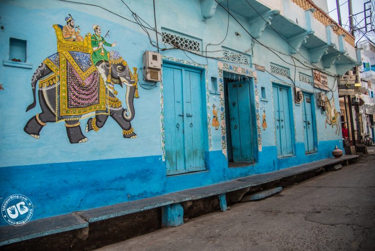 The Street Art in Udaipur – UdaipurBlog